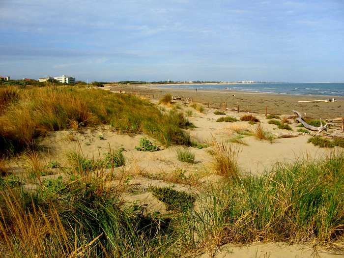Spiaggia di 100m diga alberoni - mappaspiagge.it